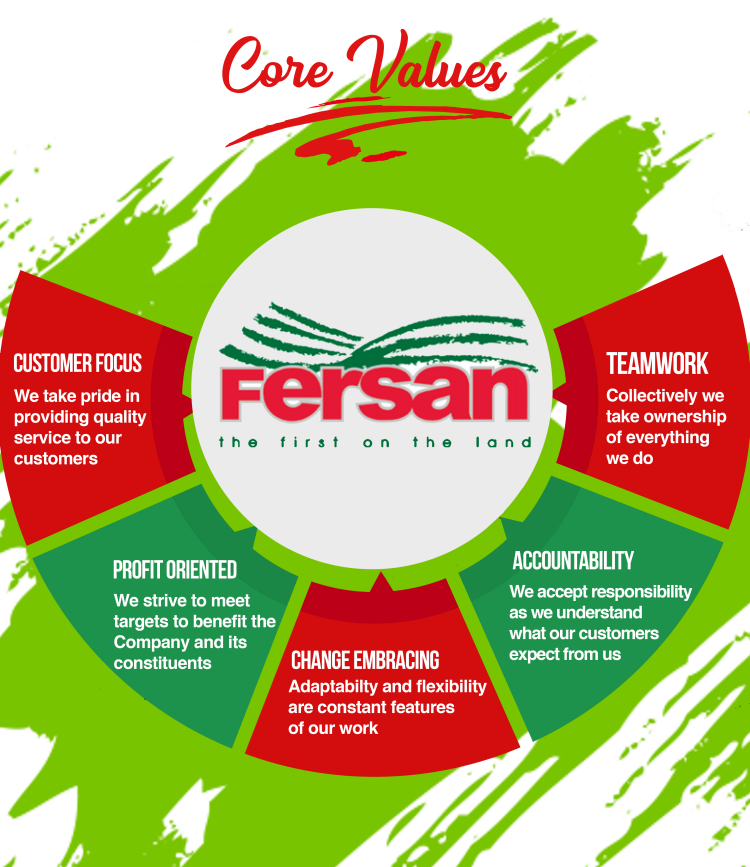 Core Values – Newport-Fersan (Jamaica) Limited