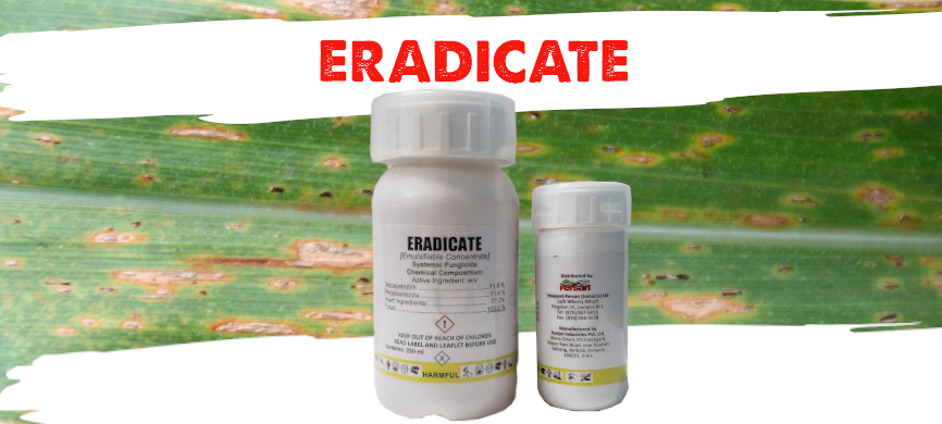 Eradicate – Newport-Fersan (Jamaica) Limited