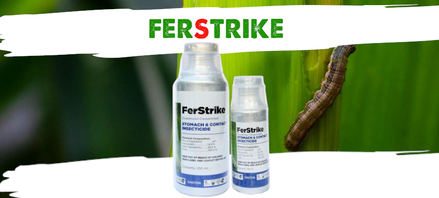 Ferstrike – Newport-Fersan (Jamaica) Limited