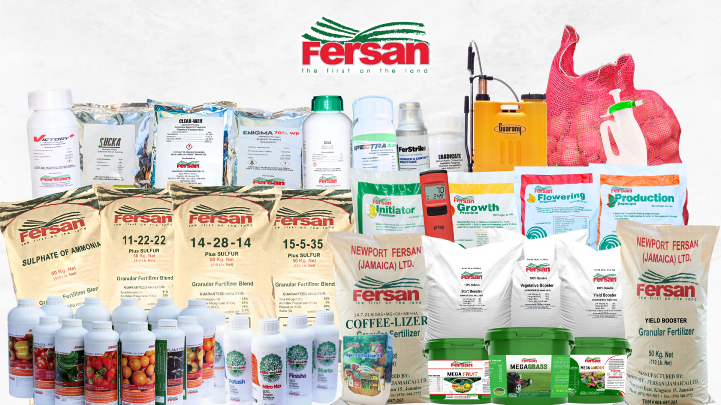 Products and Services – Newport-Fersan (Jamaica) Limited